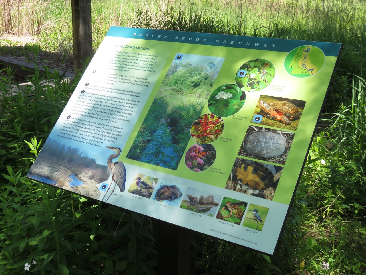 Beaver Brook Greenway – Broad Brook Coalition